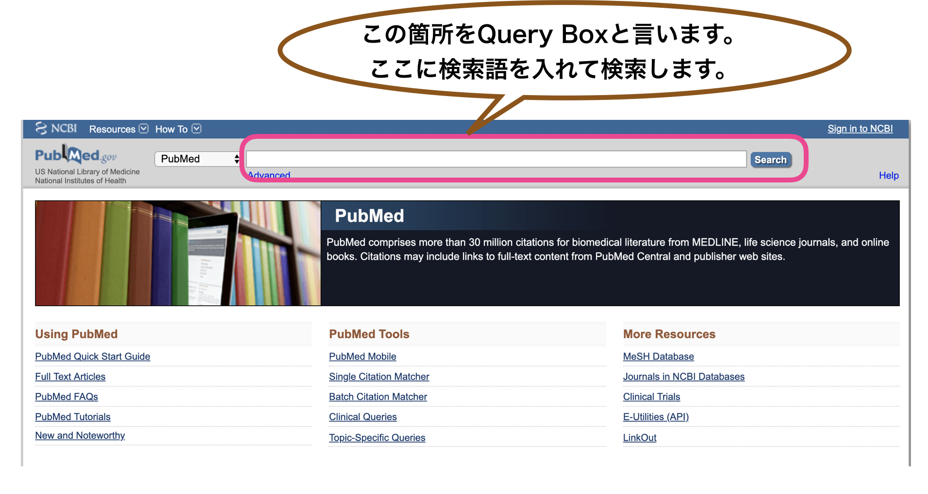 【今日から使える】Pubmedの使い方を分かりやすく解説【画像手順あり】 - Tommy blog