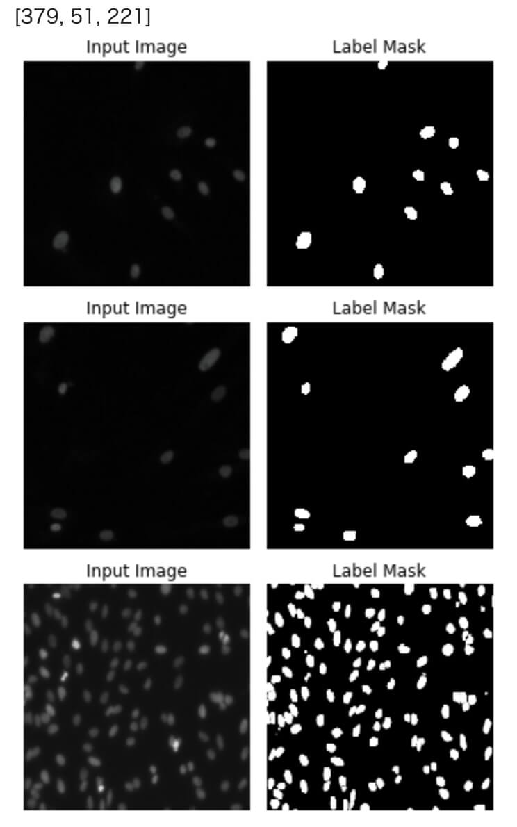 U-netの使い方と実装方法について【PytorchによるSemantic segmentation】